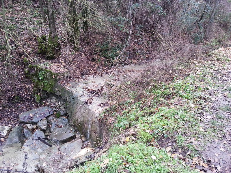 Picture b - European and international programs and projects